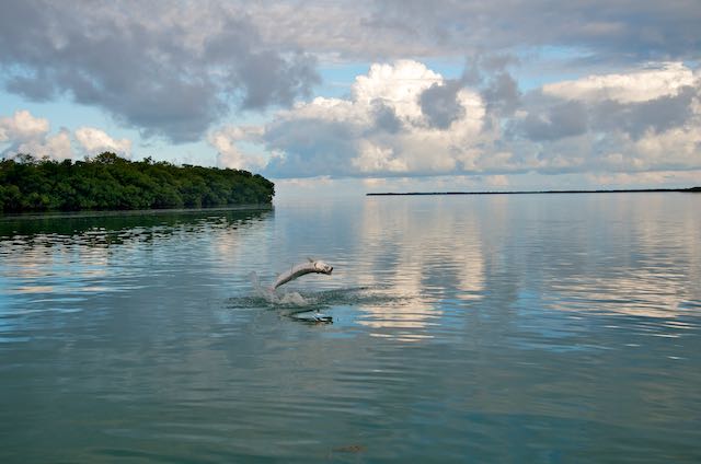 Marquesas Keys Fishing | Key West
