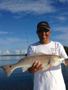Key West Fish Species | All Water Charters
