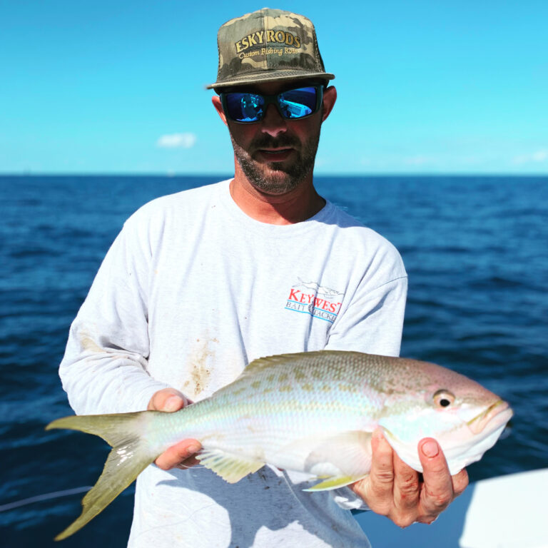 The Tarpon Migration | Key West Fishing Reports